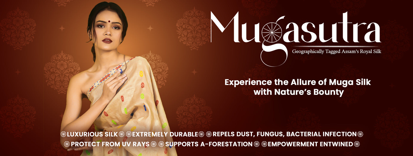 AVA Saree Muga Silk